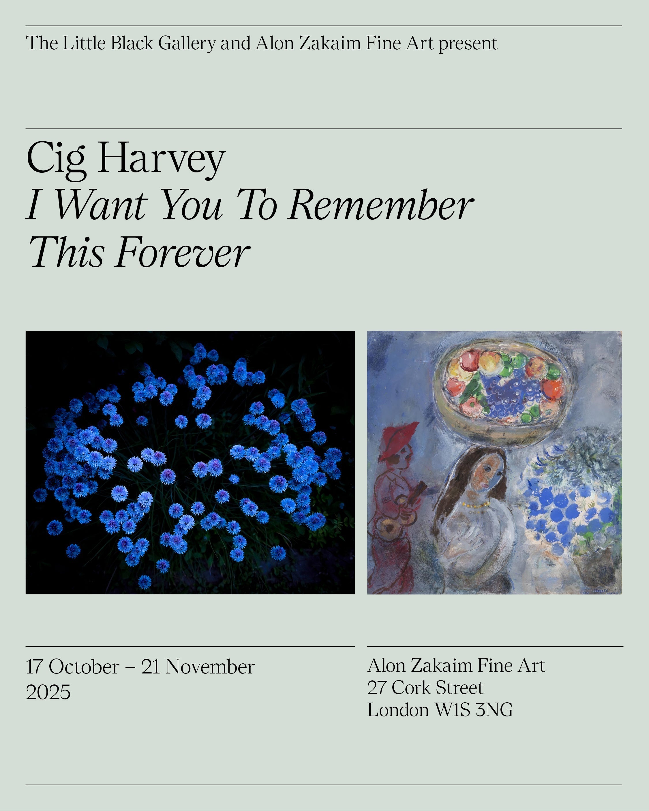 I Want You To Remember This Forever by Cig Harvey – The Little Black ...